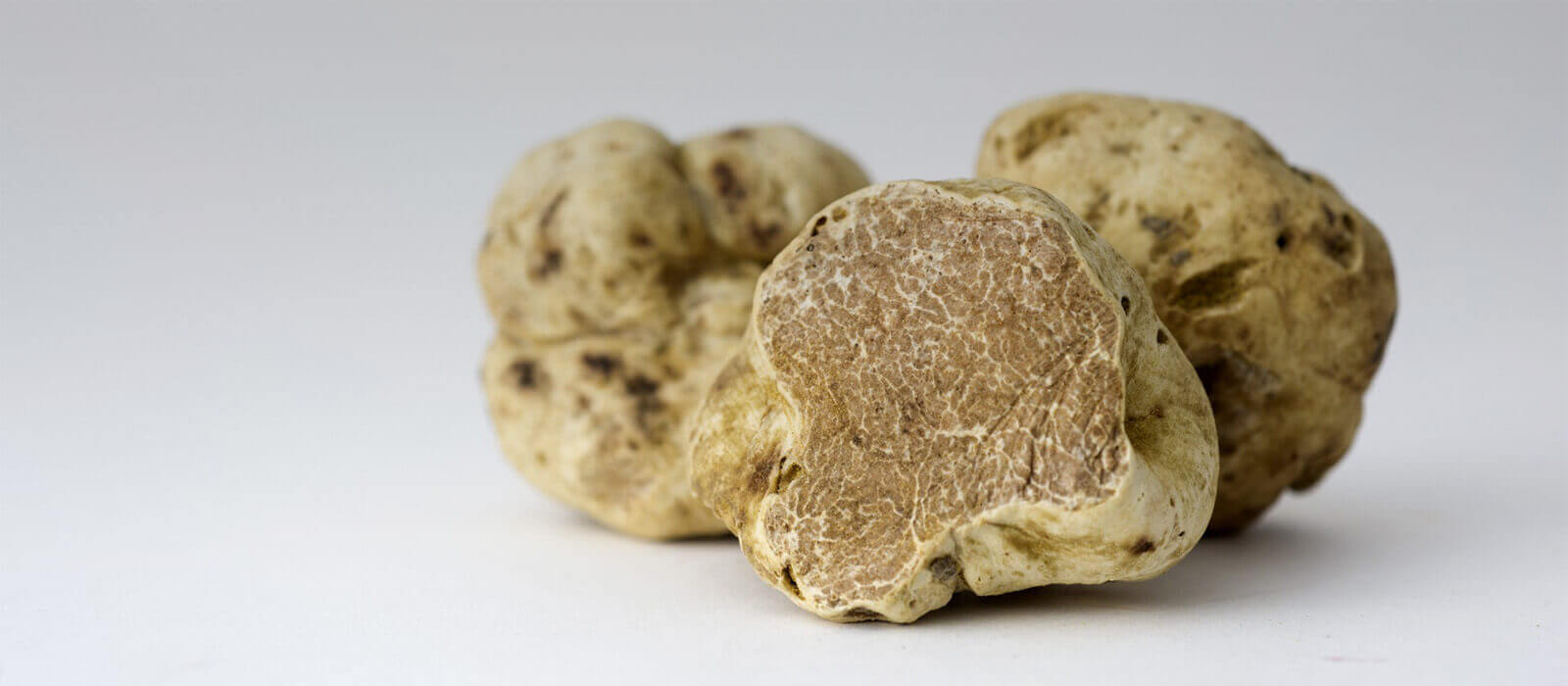 White Truffle - Urbani Truffles - Best Italian Truffles